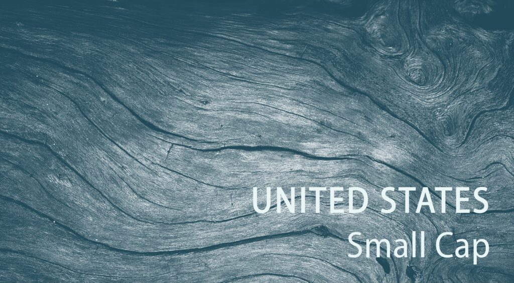 U.S. Small Cap Strategy - Van Berkom Global Asset Management